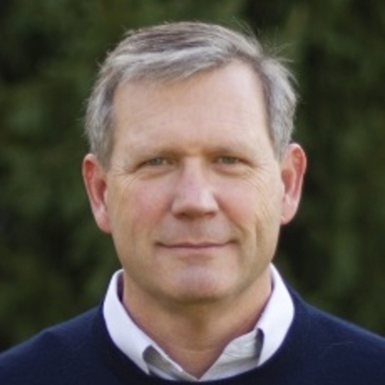 Andrew Hollingworth | Psychological and Brain Sciences - College of ...