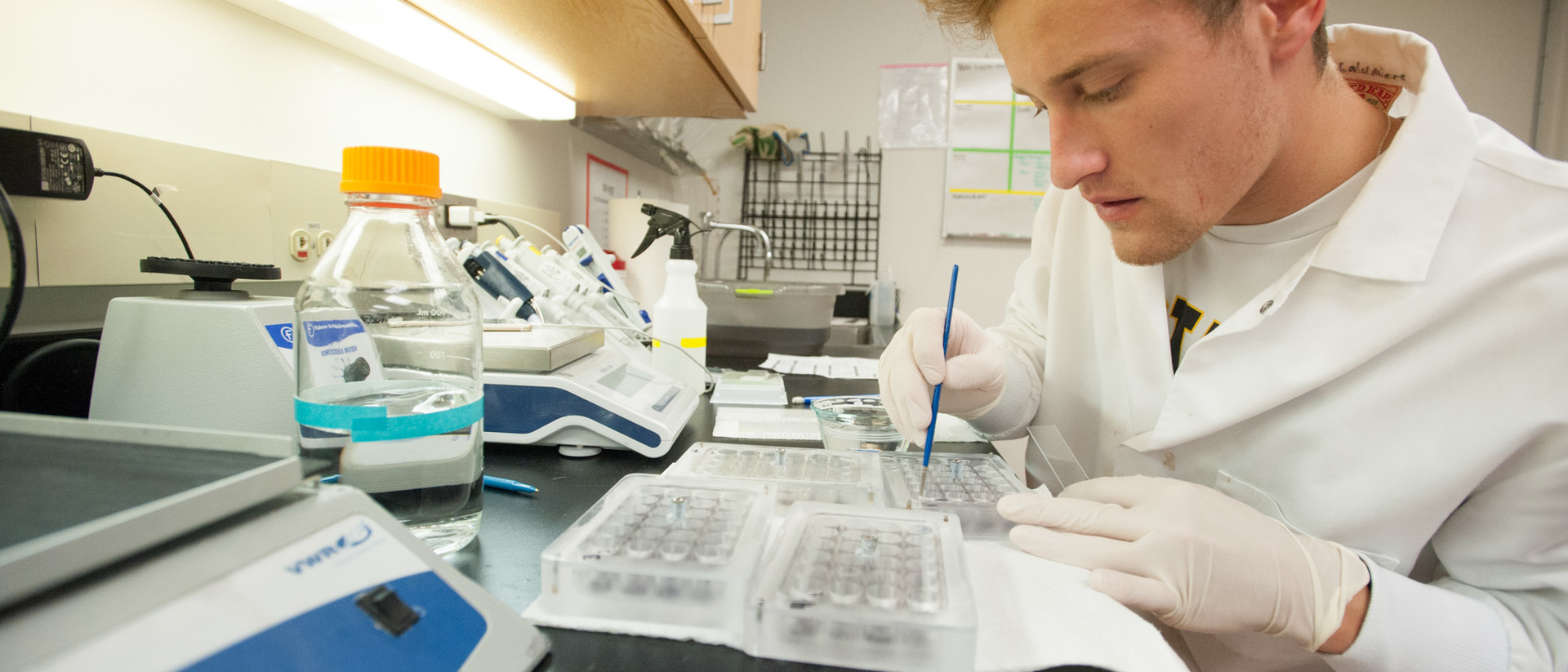 Programs, Centers, and Institutes | Psychological and Brain Sciences ...